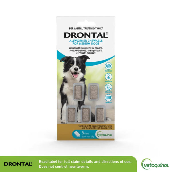Drontal Medium Dogs Allwormer Chewables 10kg x5 Tablets – PETROOM